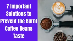 How to Fix Burnt Beans - 7 Simple Solutions to Solve The Burnt Coffee ...