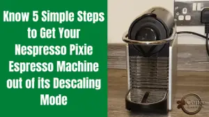 Nespresso Won't Exit Descaling Mode - 12 Steps to Get Your Nespresso ...